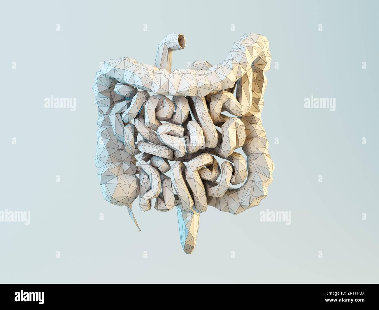 3d illustration of abstract low poly human internal organ - intestine ...