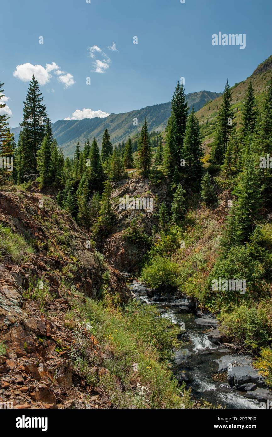 Upper portion of the Slate River, in Colorado's Elk Mountains, looking ...