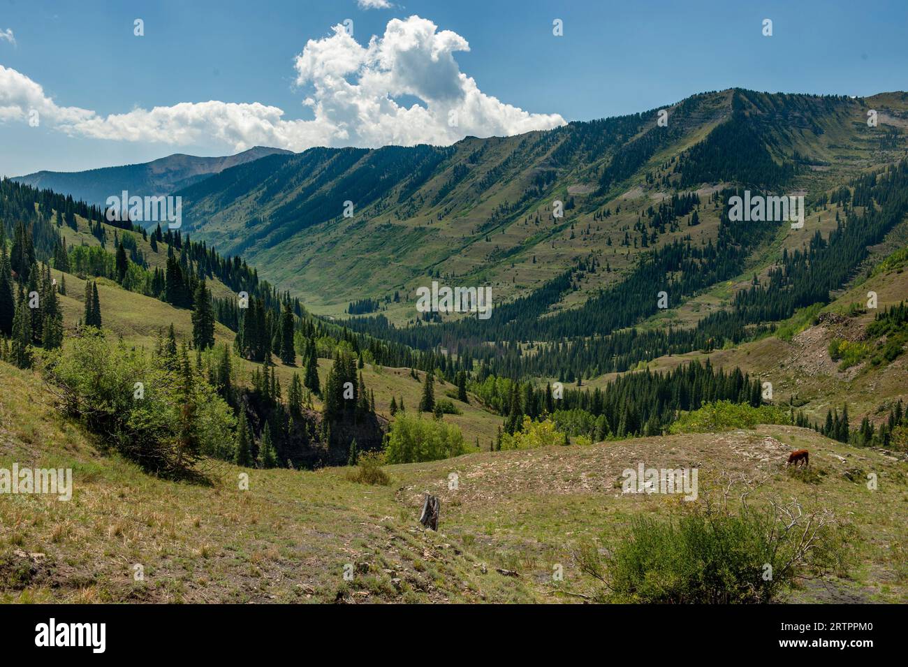 A strange, unnamed ridge near Crested Butte, Colorado that looks like a ...