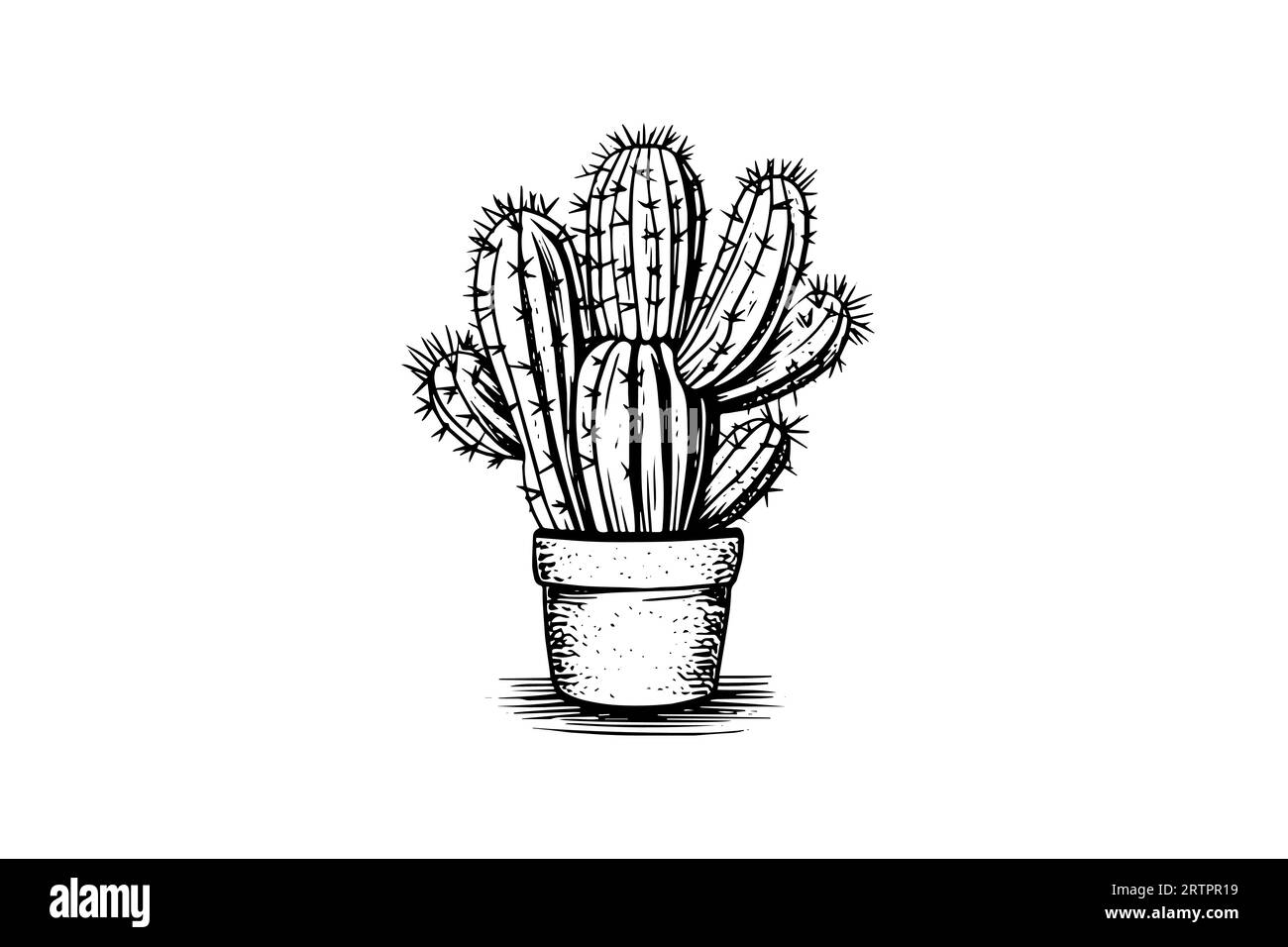 Cactus hand drawn ink sketch. Engraving style vector illustration Stock ...