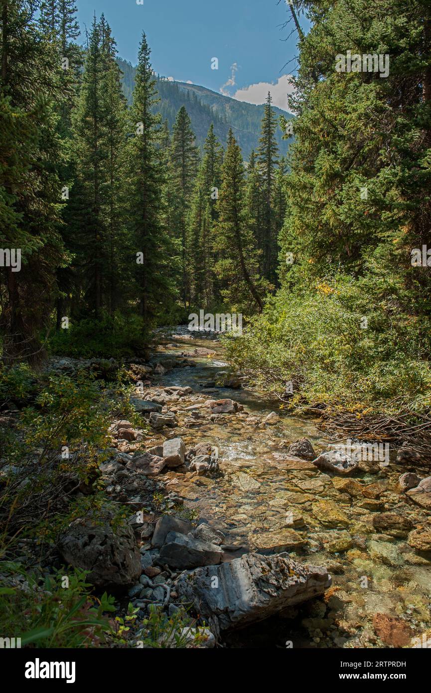 Crystal river hi-res stock photography and images - Alamy