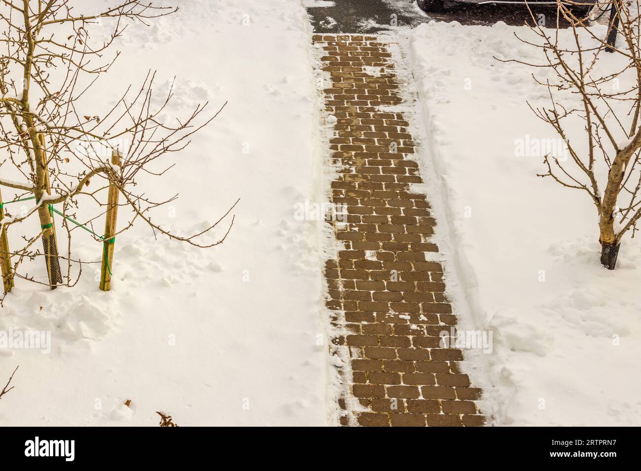 View at paving slabs path in snowy house front yard Stock Photo - Alamy