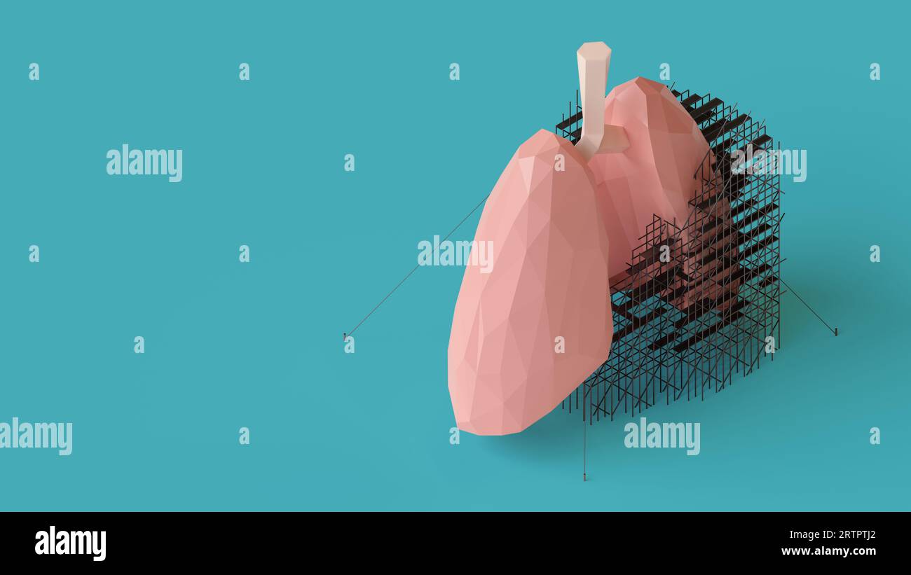 3d illustration of low poly human lungs repair or treatment concept ...