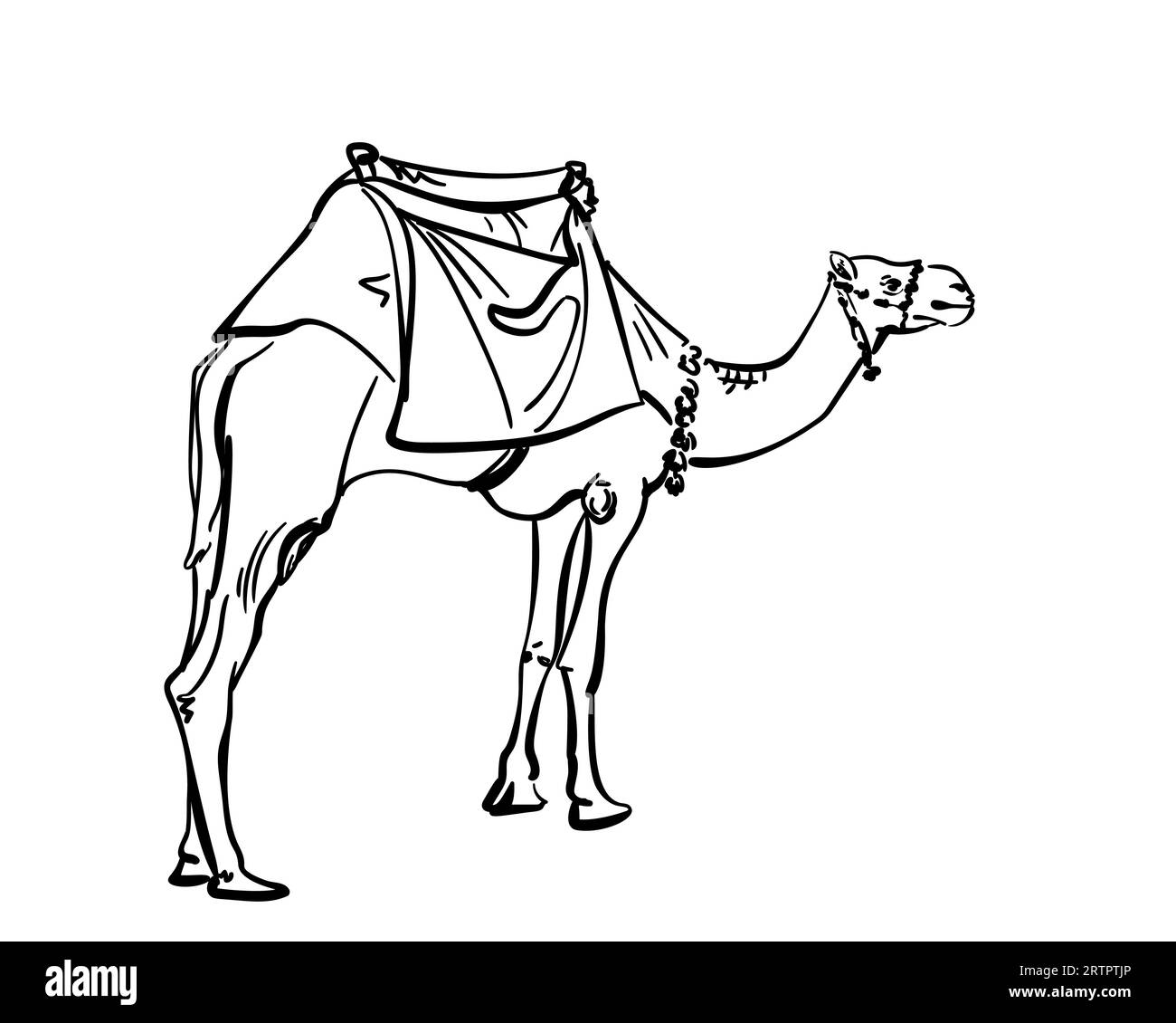 Camel standing with a saddle on a hump simple doodle, linear sketch ...
