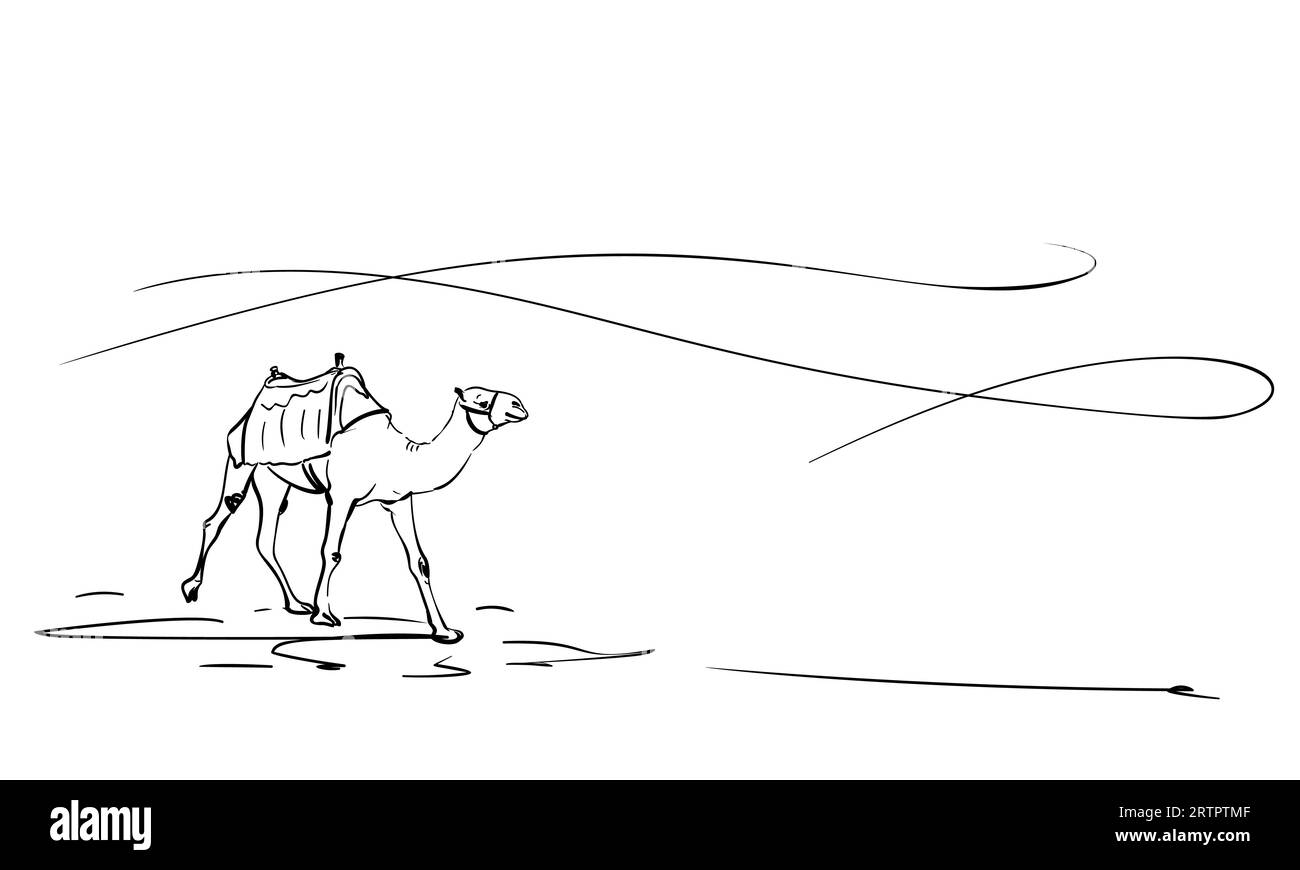 Hand drawing of lonely camel with a saddle on a hump walking through ...