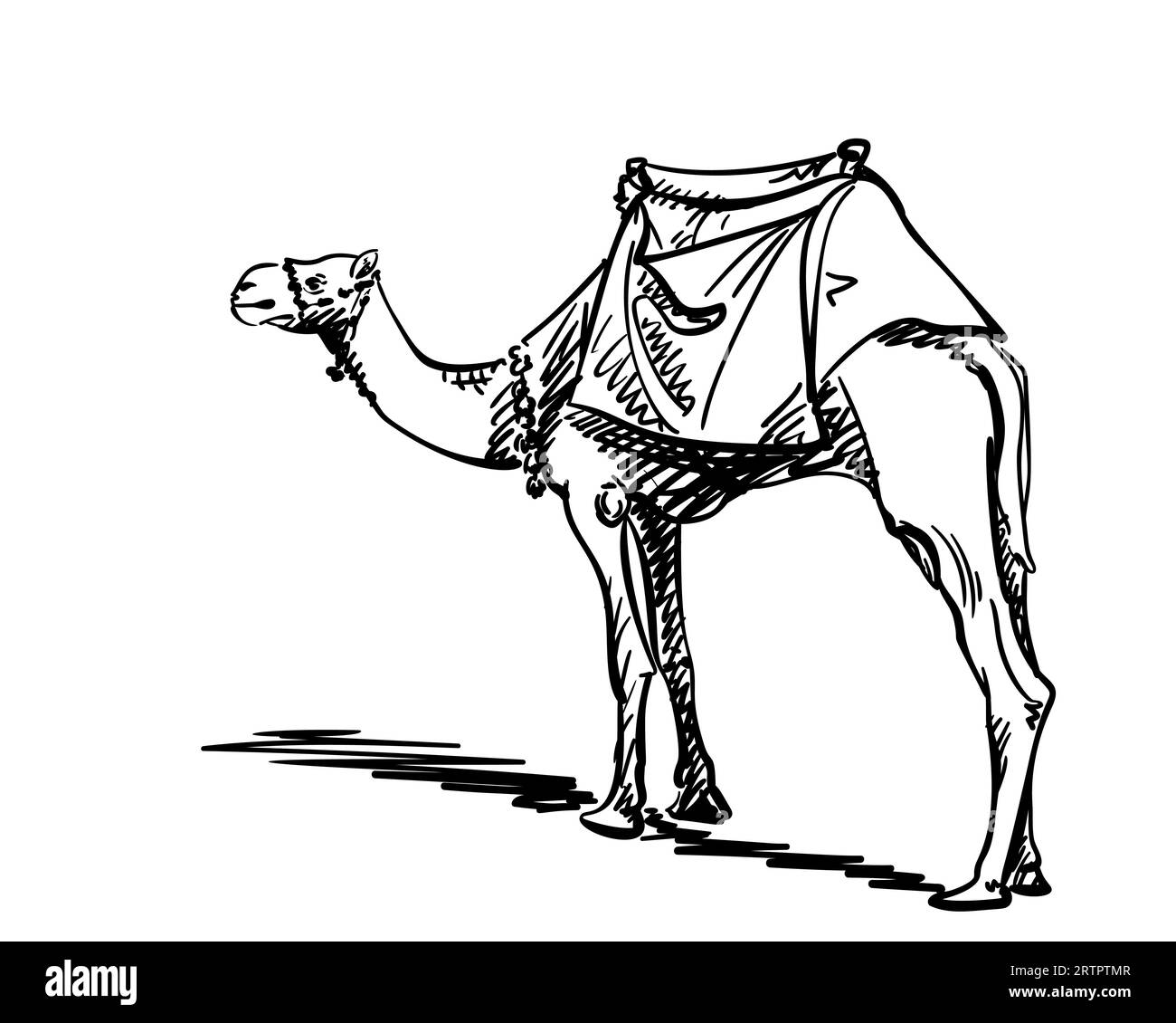 Camel standing with a saddle on a hump simple doodle sketch, Ship of ...