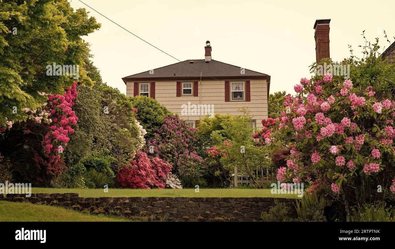 suburban cottage house in flowering neighborhood. suburban cottage ...