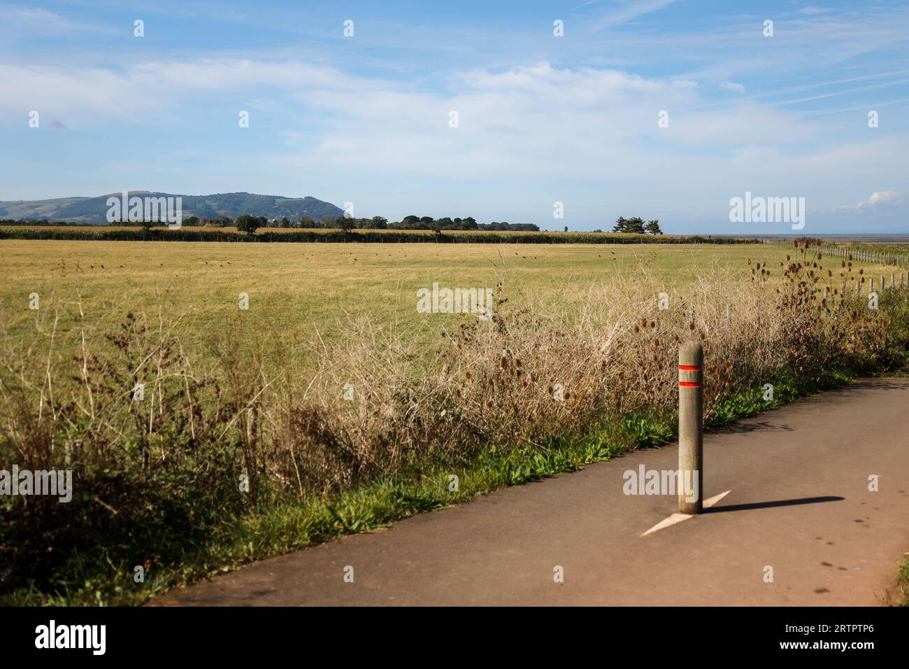 The north hill of Minehead seen from the beach in the medieval village ...