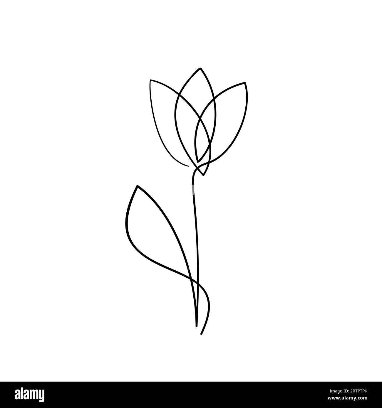 Tulip flower one line drawing, Minimalist line art, Continuous line artwork vector Stock Vector ...