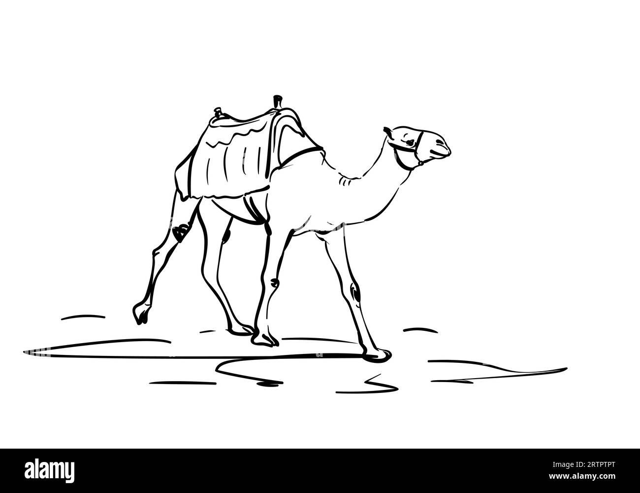 Walking camel with a saddle on a hump simple doodle, linear sketch ...