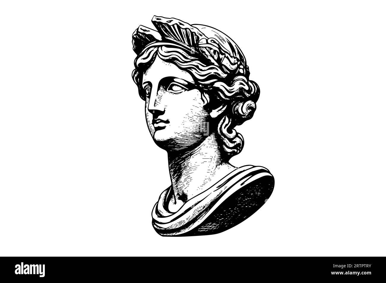 Antique statue head of greek sculpture sketch engraving style vector ...