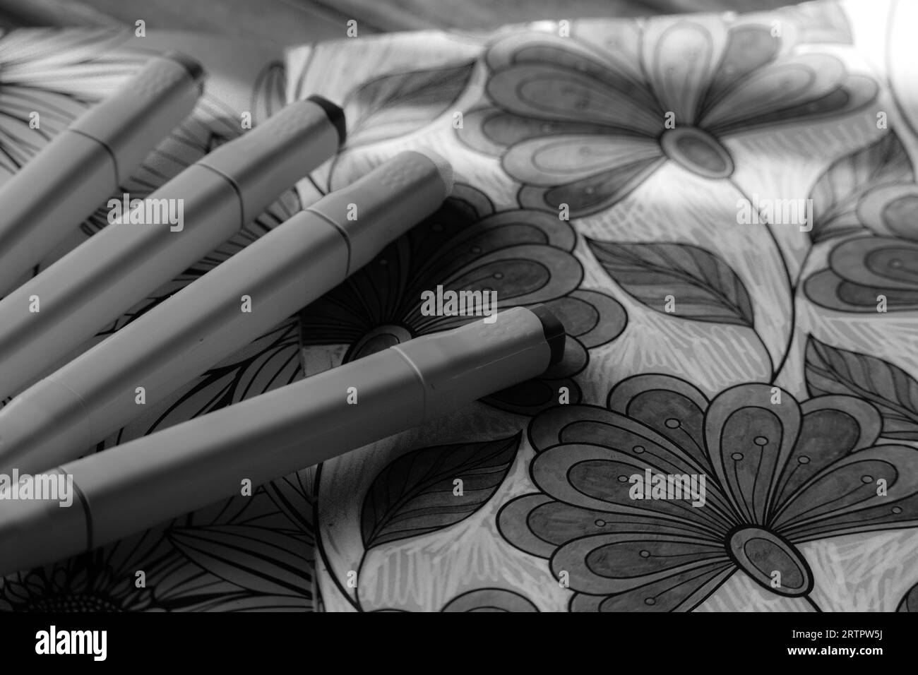 Drawing pens Black and White Stock Photos & Images - Alamy