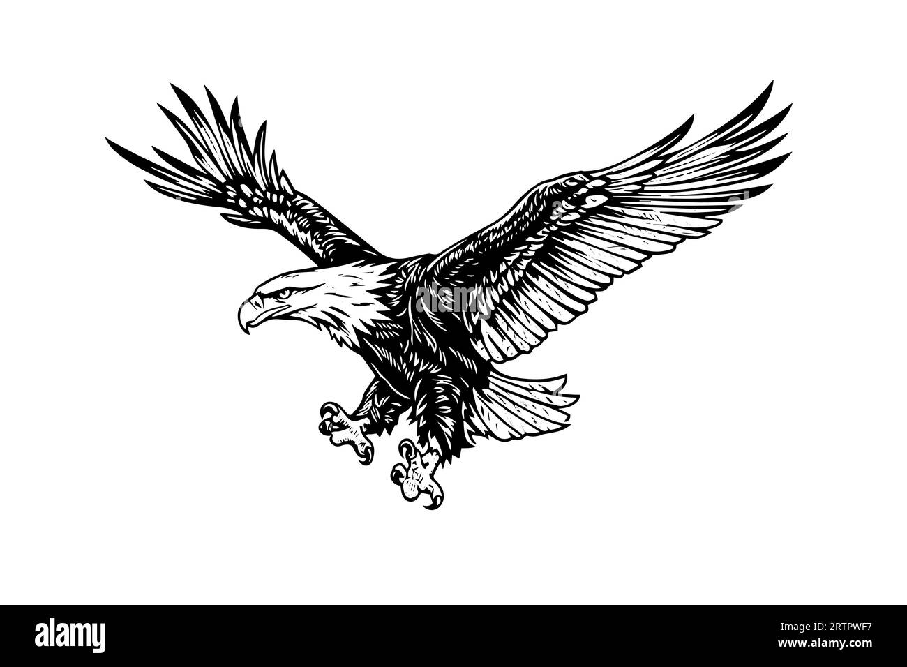 Flying eagle logotype mascot in engraving style. Vector illustration of ...