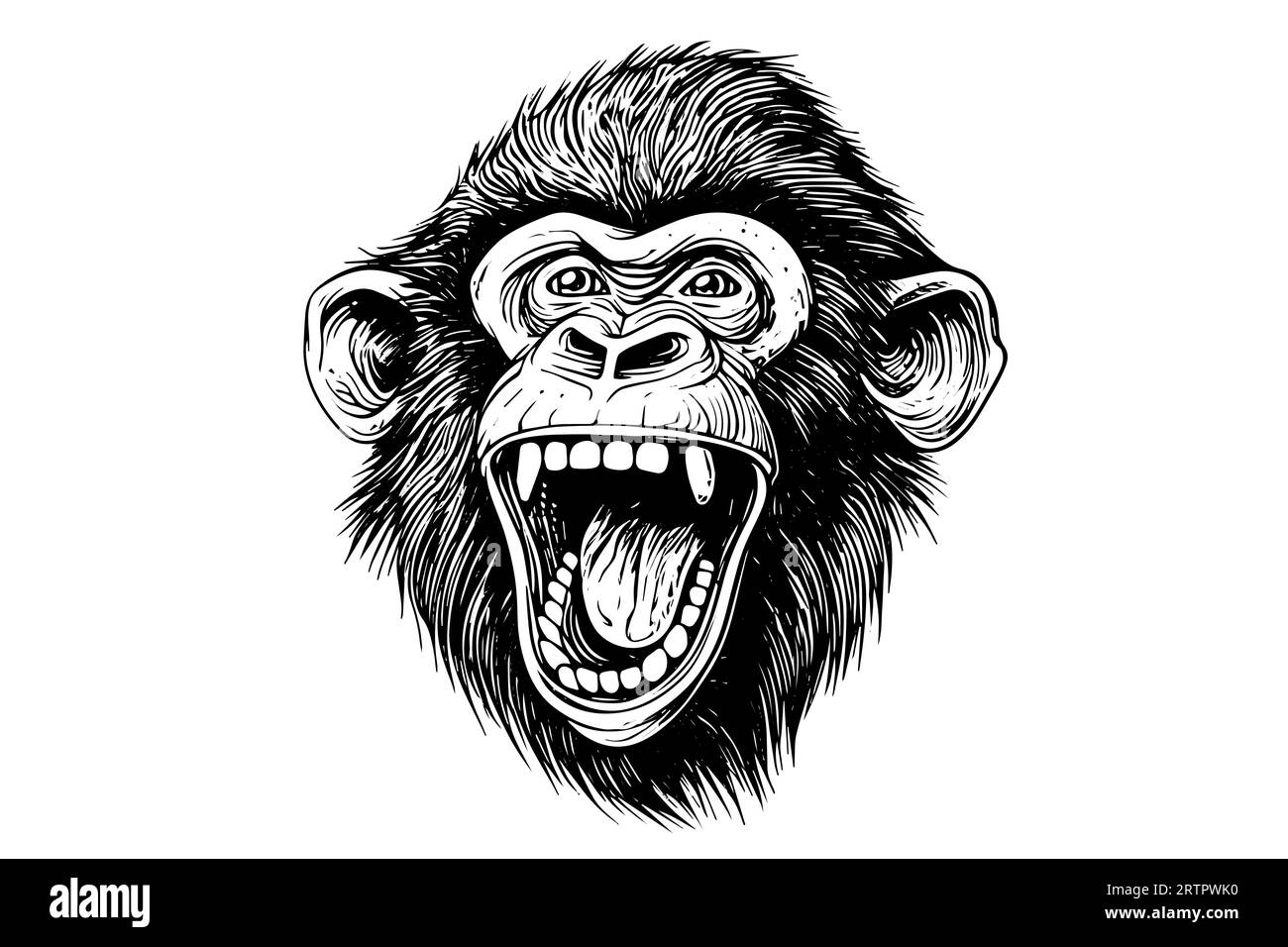 Evil Monkey Face Drawing
