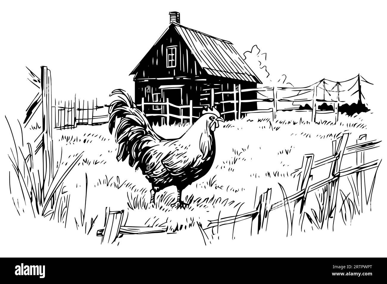 Chickens in farm sketch. Rural landscape in vintage engraving style ...