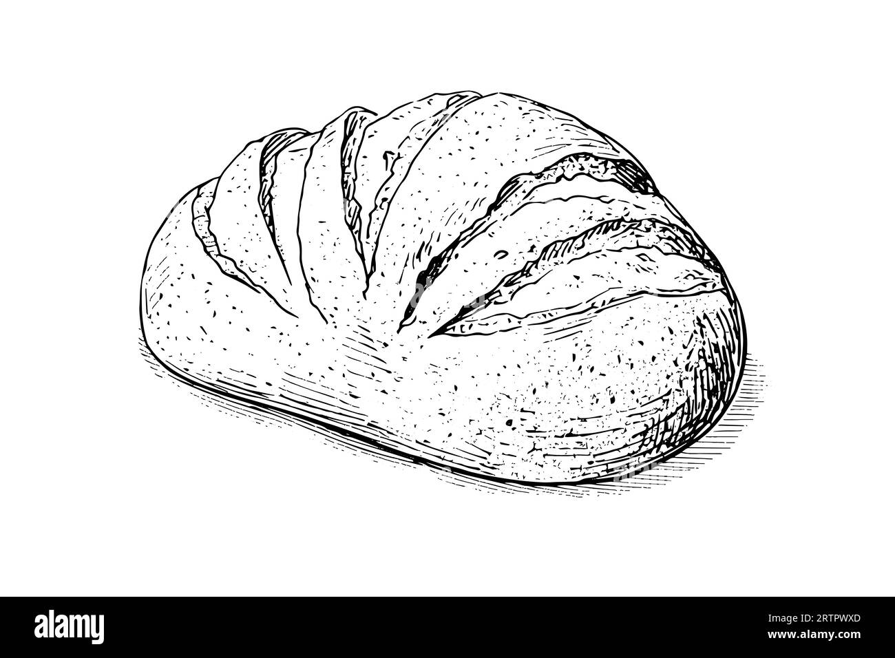 Loaf of bread. Vector hand drawn vintage engraving style vector ...