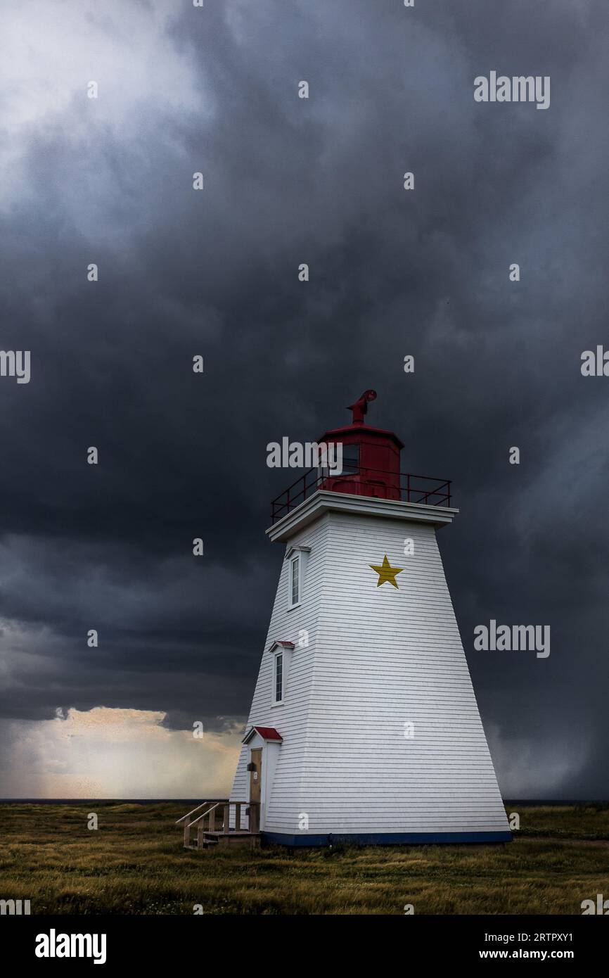 Star pei hi-res stock photography and images - Alamy