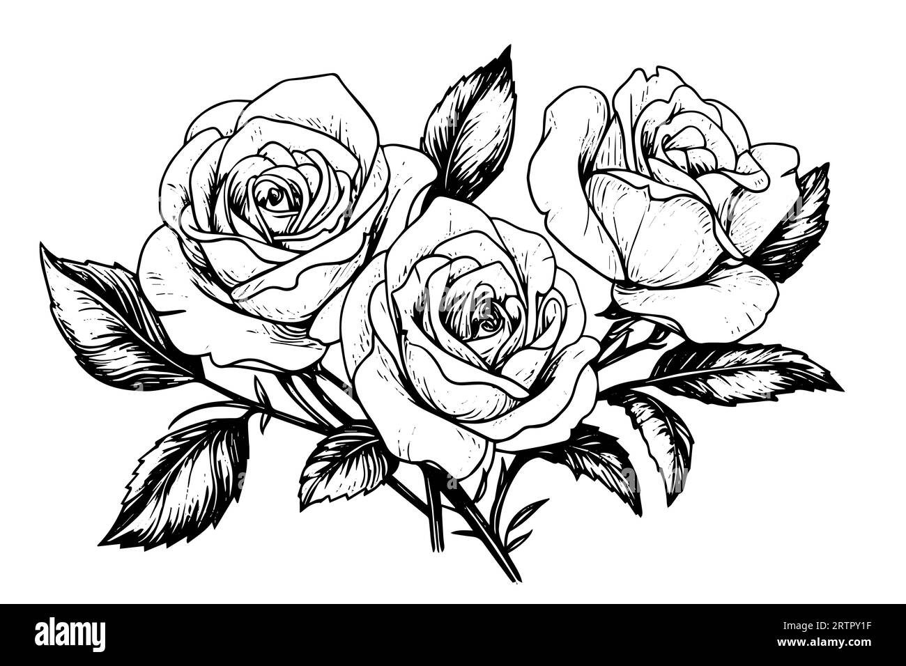 Vintage rose flower engraving calligraphic .Victorian style tattoo ...