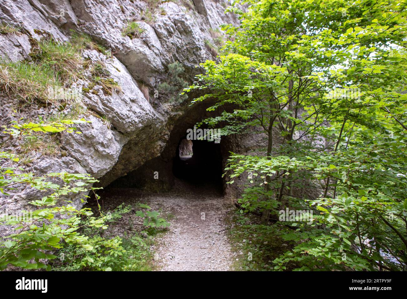 Rock wall with entrance to the tunnel cave in Jura mountains, hiking ...