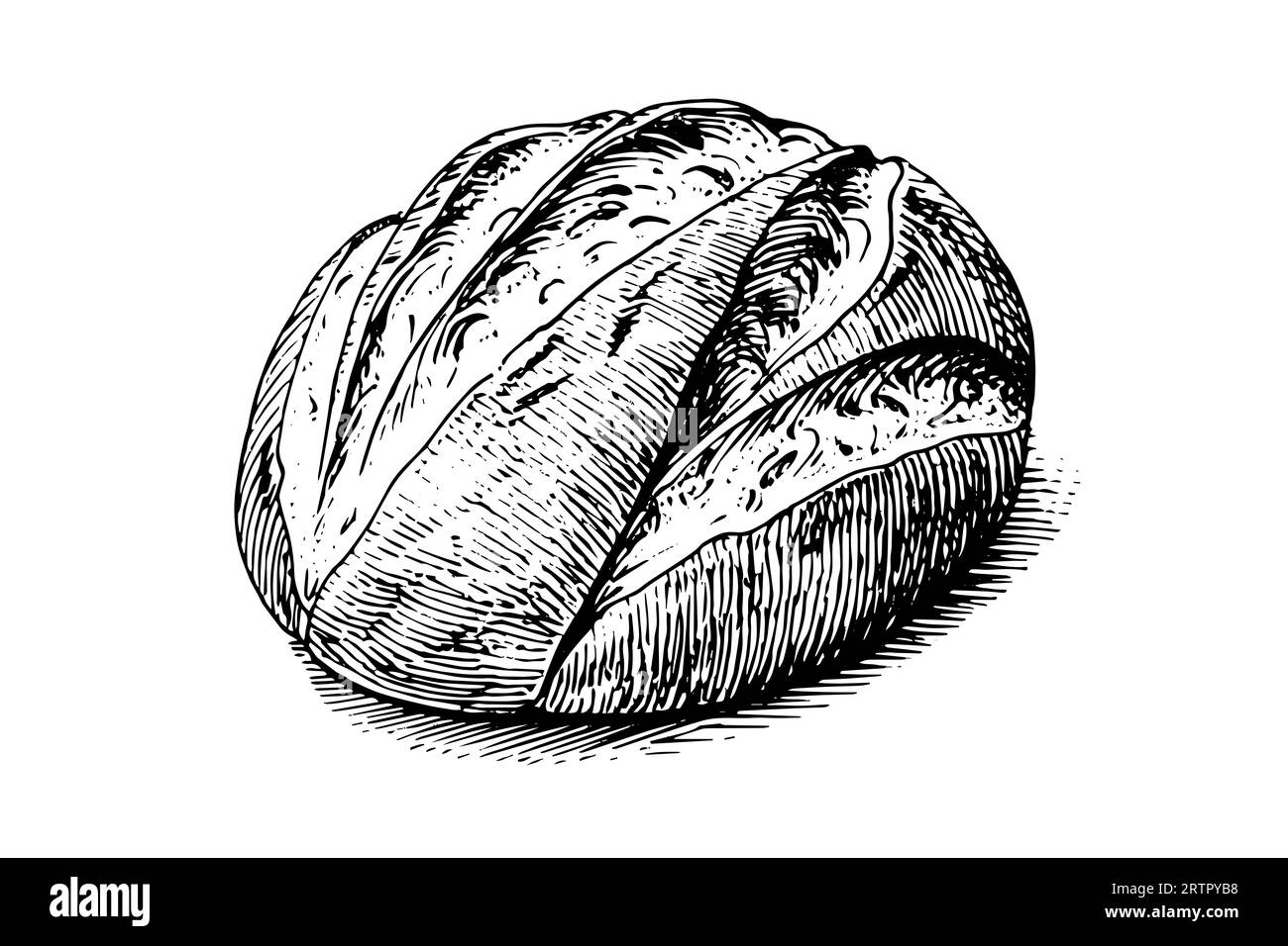 Loaf of bread. Vector hand drawn vintage engraving style vector ...