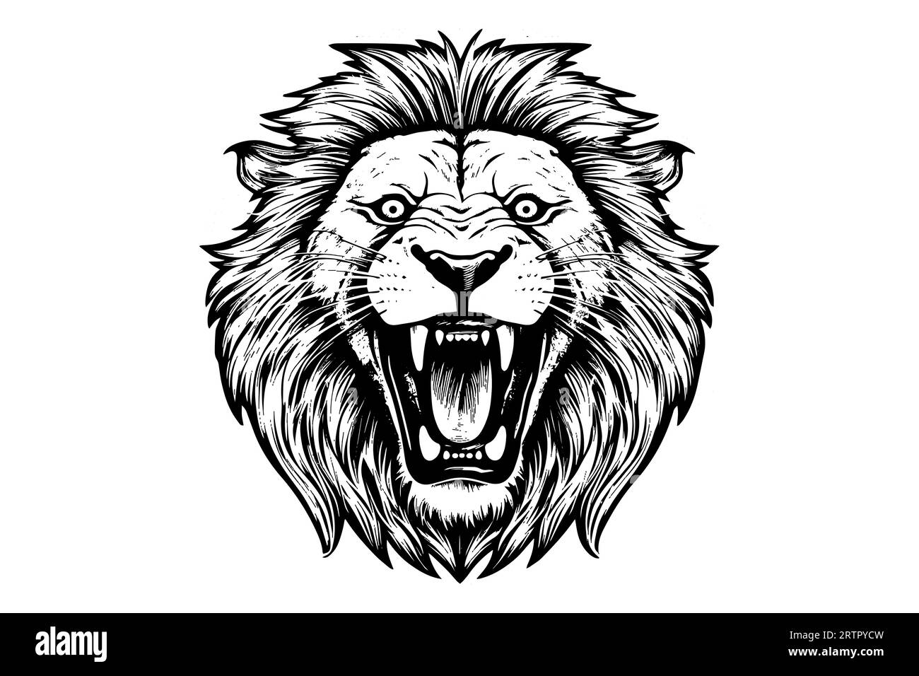Lion growl head portrait sketch hand drawn engraving style vector ...