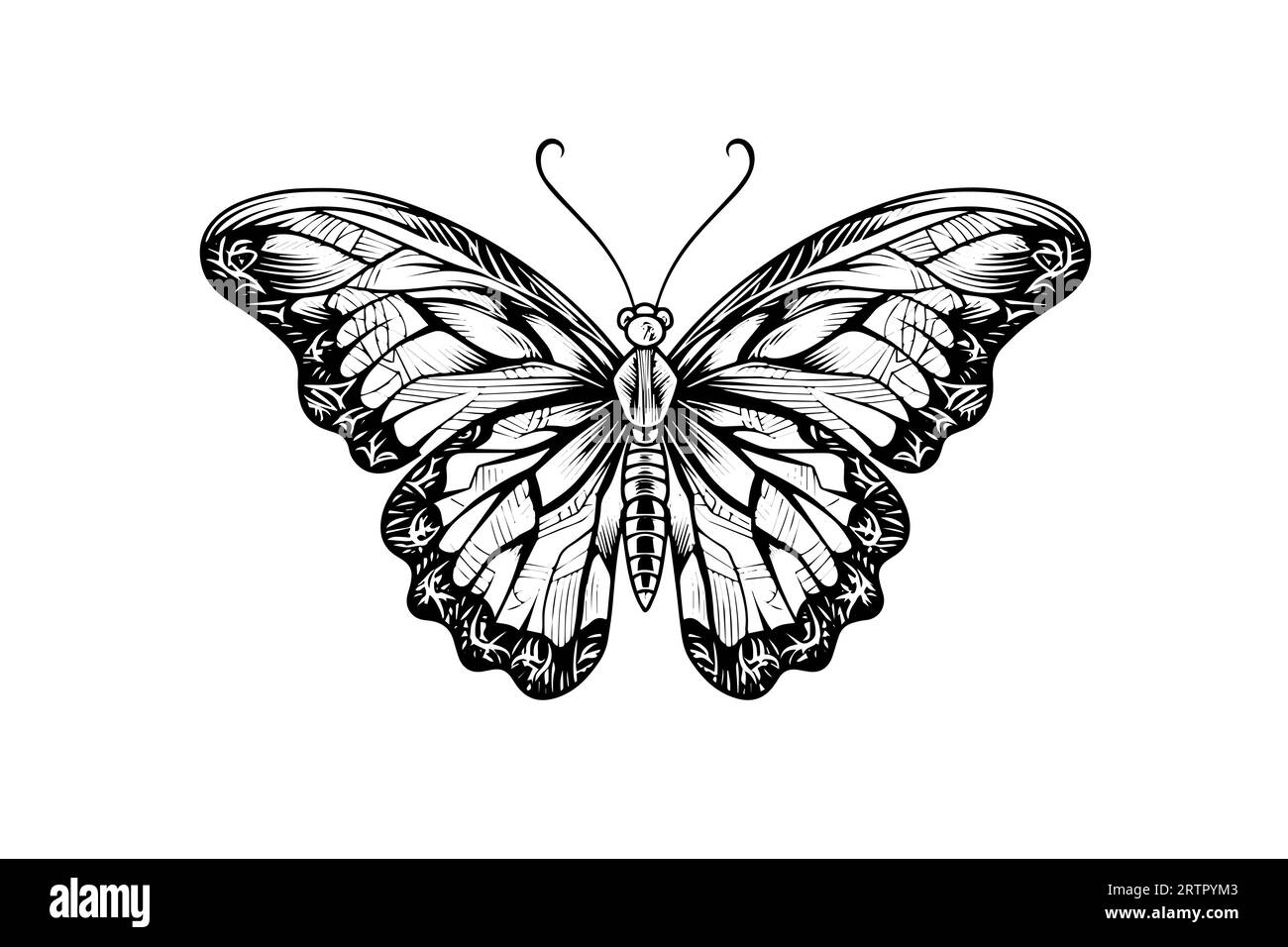 Butterfly sketch. Hand drawn engraving style vector illustration Stock ...