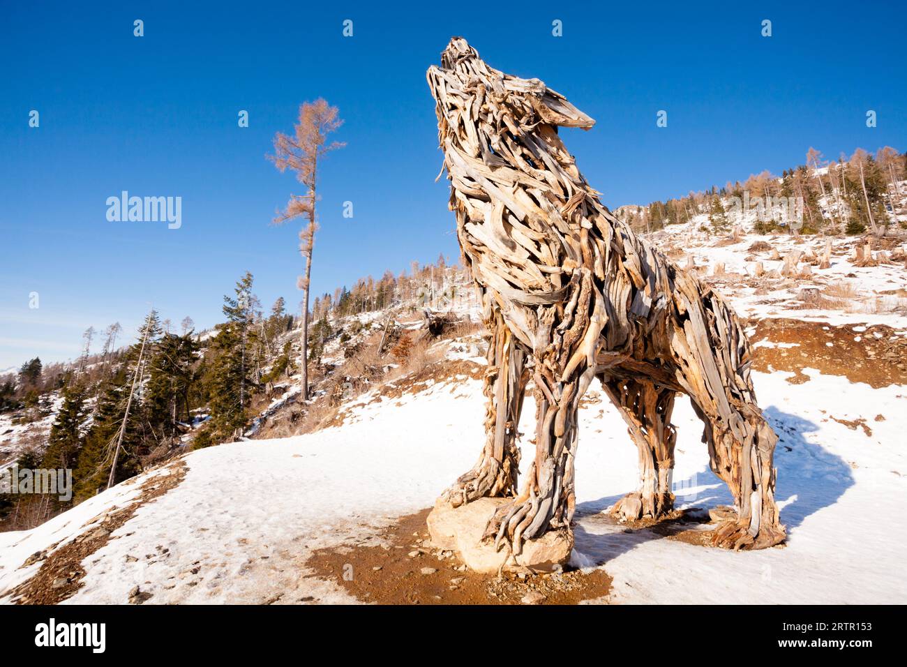 Wooden sculpture of a wolf made of tree branches. Vaia tempest wolf ...