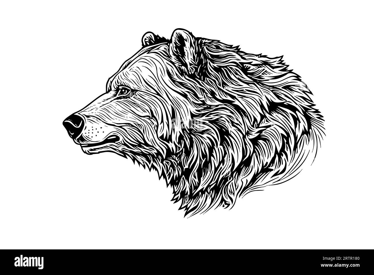 Bear head side view logotype vector engraving style illustration Stock ...