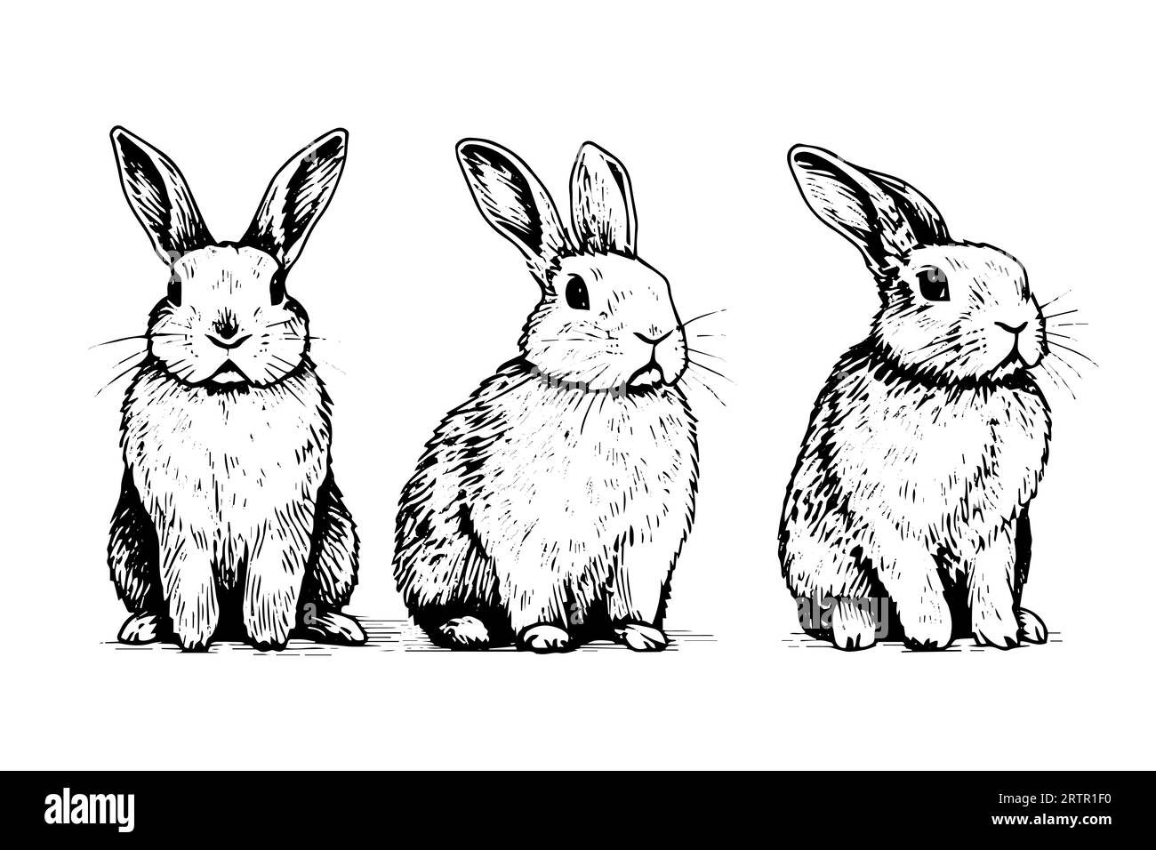 Engraving rabbit on white background .Vector ink sketch illustration ...