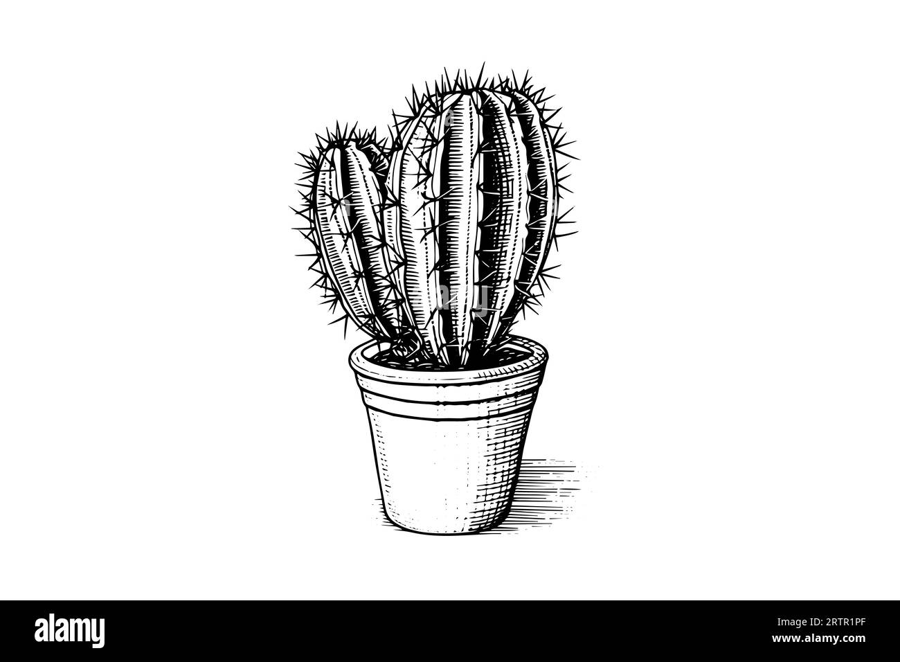 Cactus hand drawn ink sketch. Engraving style vector illustration Stock ...