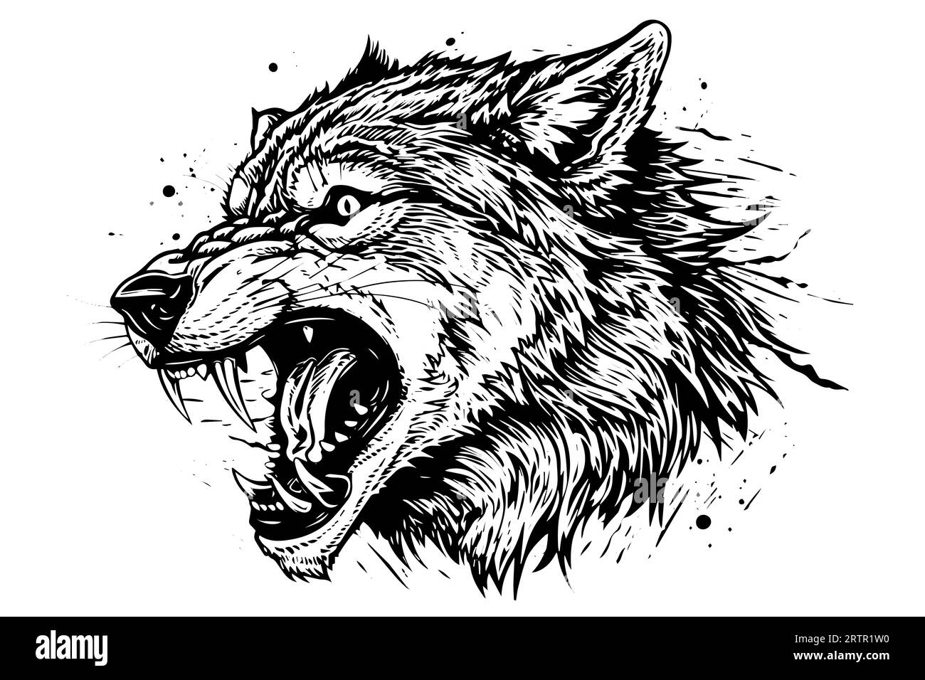 Angry wolf head hand drawn ink sketch. Engraving vintage style vector ...