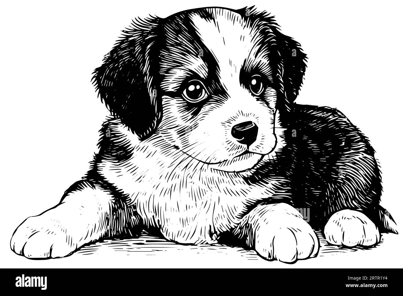 Cute puppy hand drawn ink sketch. Dog in engraving style vector ...