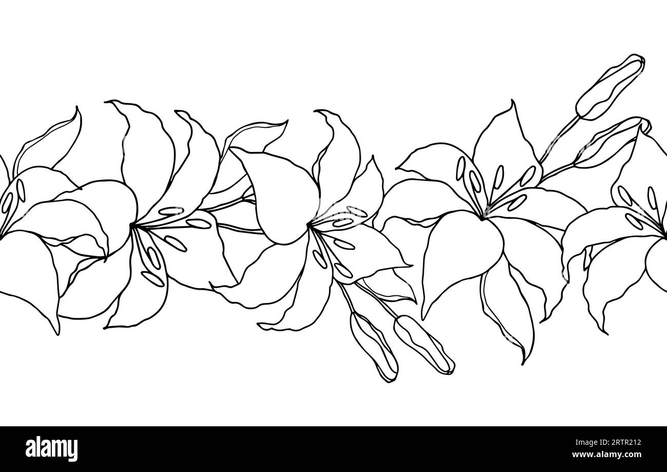 Lilly line art flower seamless garland for design of card or invite ...