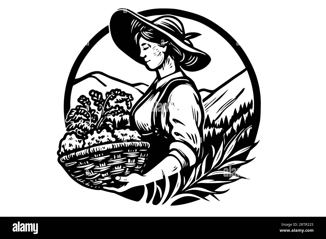 A woman farmer harvesting in the field in engraving style. Drawing ink ...