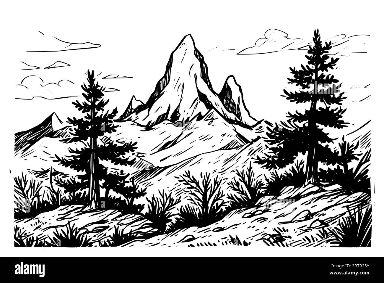 Hand drawn ink sketch of mountain with pine trees landscape. Engraved ...