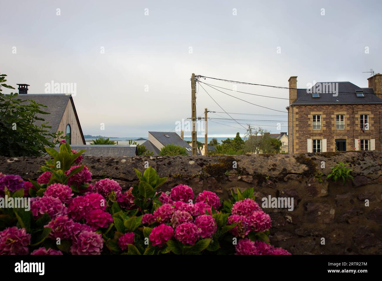 Beautiful summer view of Paimpol village, with pink hydrangeas ...