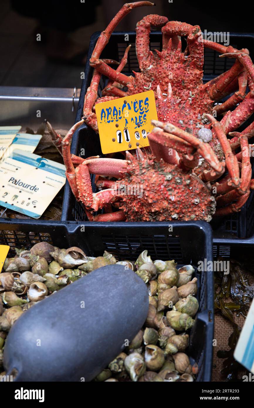Crabs and clams for sale on market stall, in a black boxes. Seafood is ...