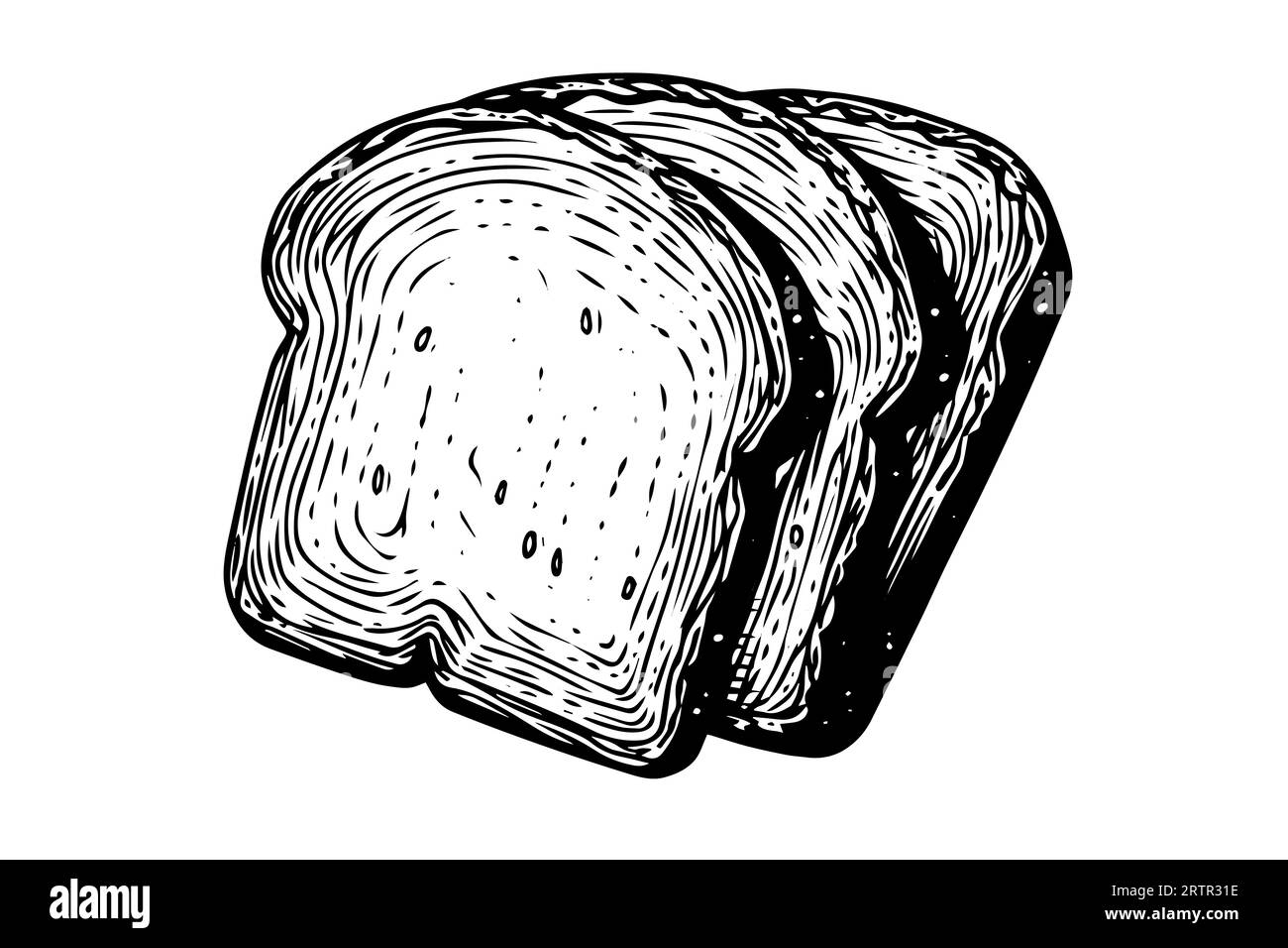 Toast slices sketch. Bread engraving in hand drawn style vector ...