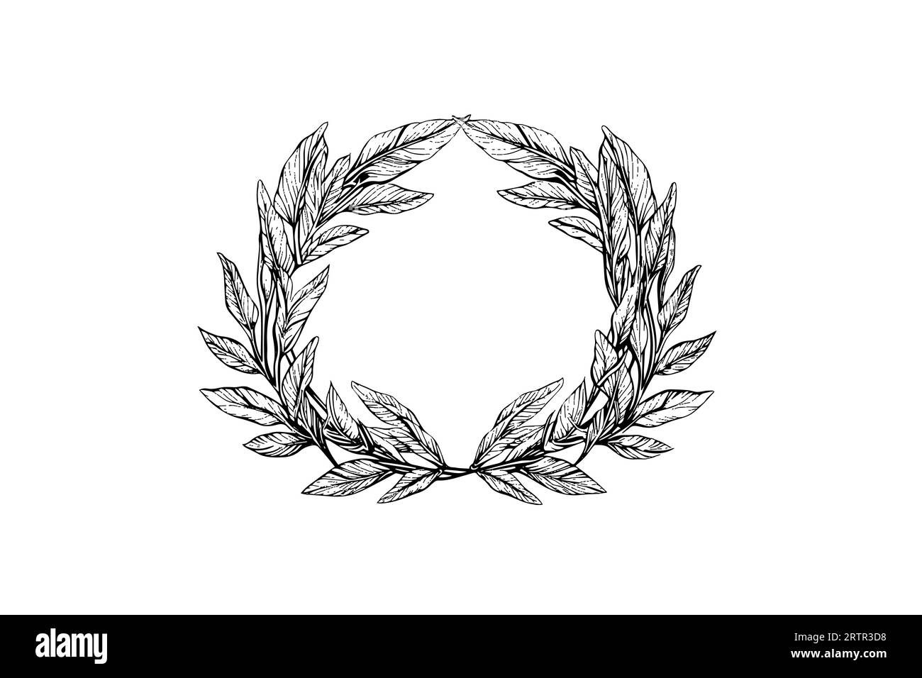 Laurel wreath vintage Baroque frame border monogram engraving vector ...