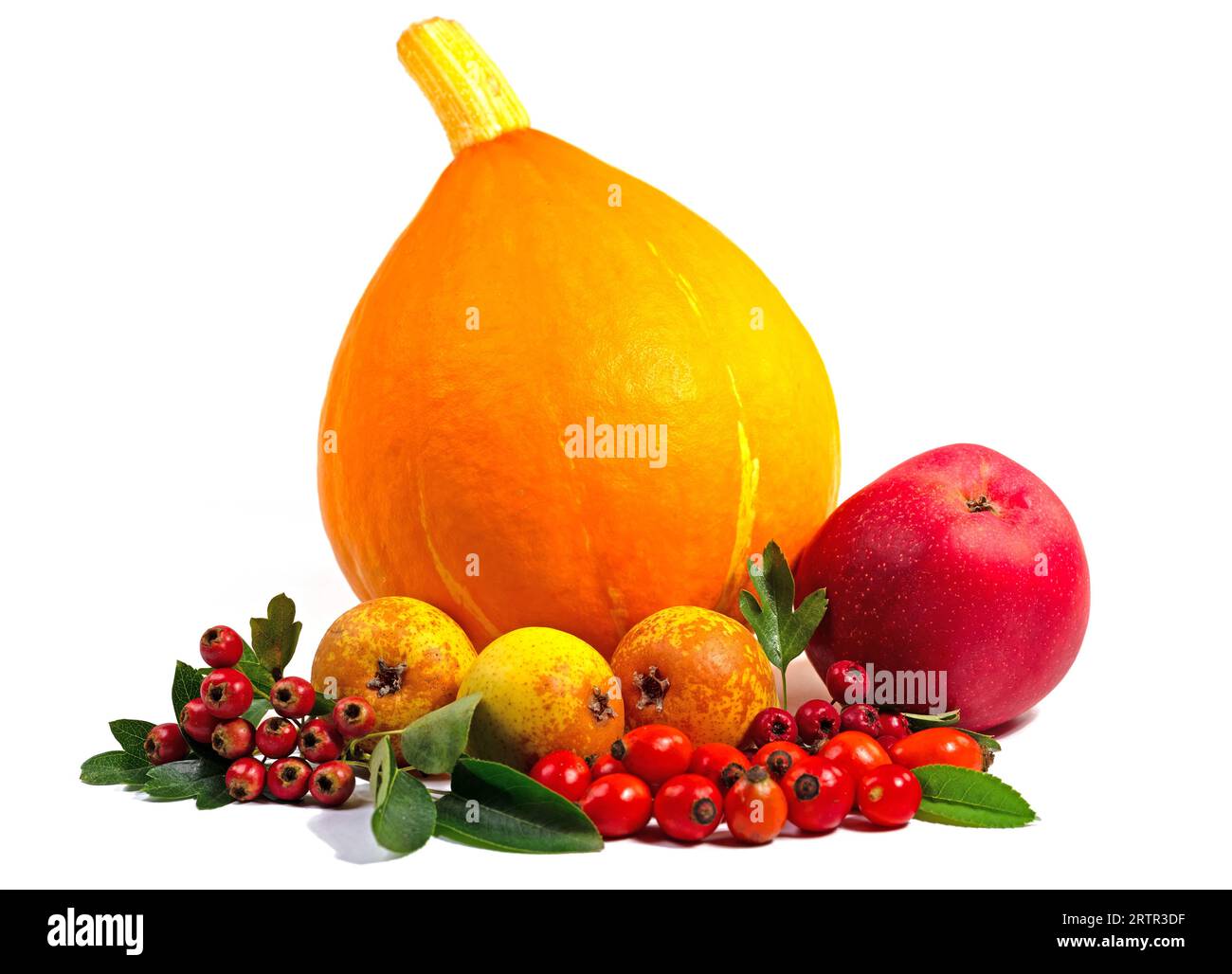 Vitamin rich fruits hi-res stock photography and images - Alamy