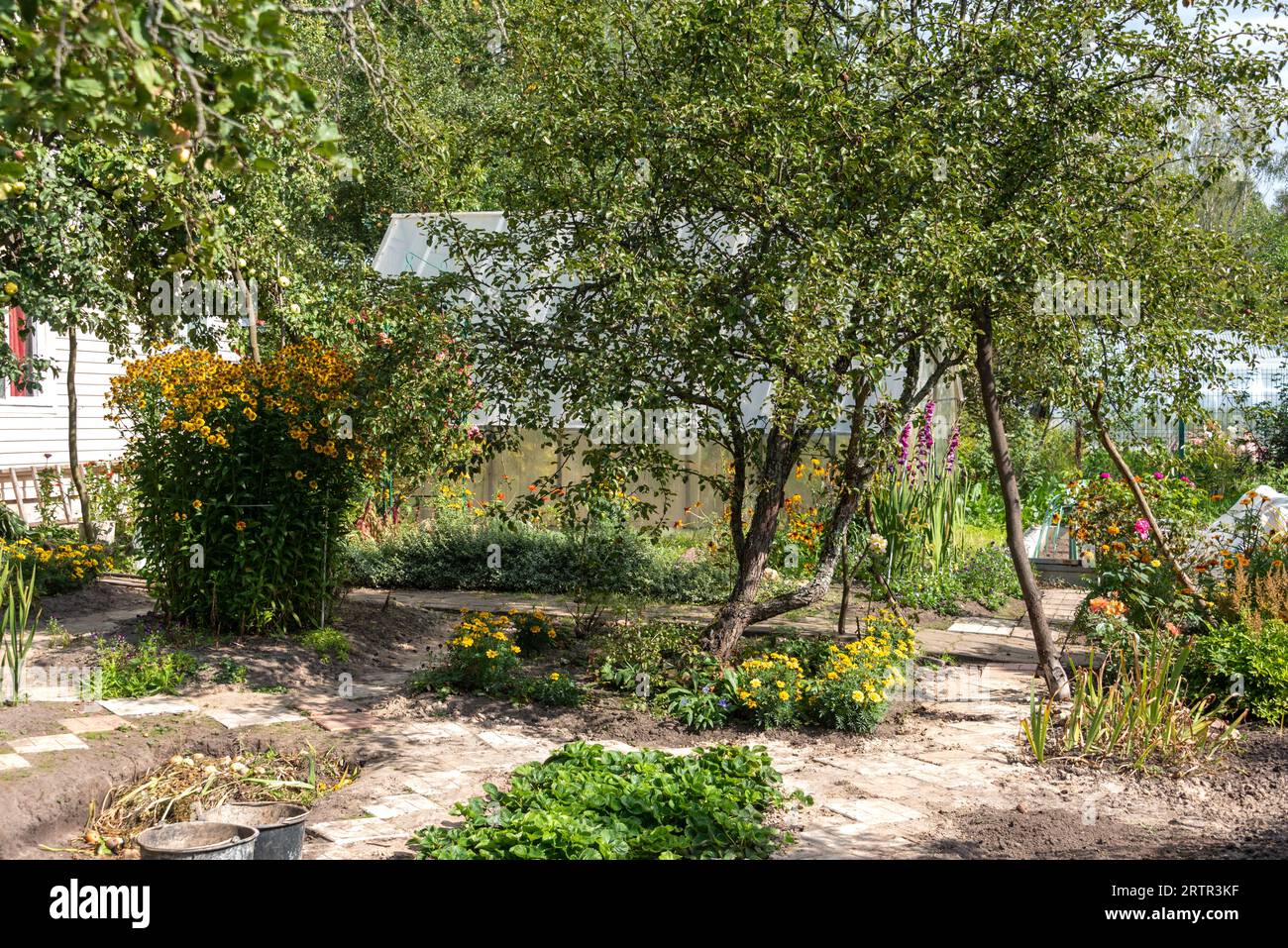 Cottage garden with apple tree, vegetable beds and flowers. Cottage ...