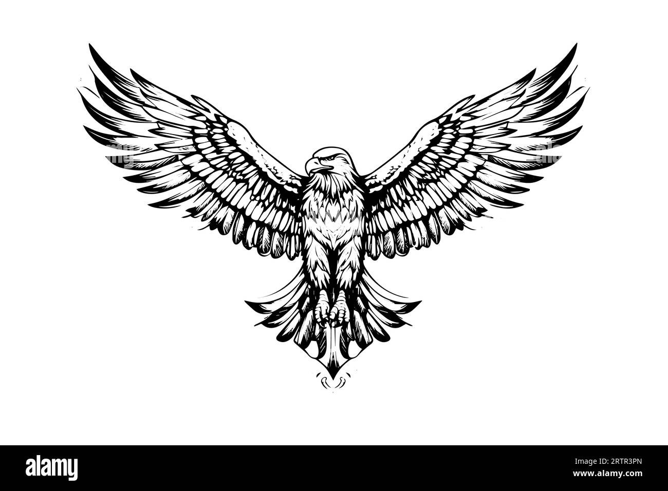 Flying eagle logotype mascot in engraving style. Vector illustration of ...