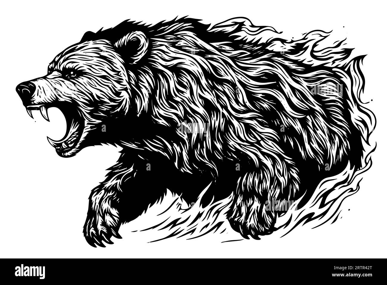Ink hand drawing sketch bear mascot or logotype. Vector Illustration in ...