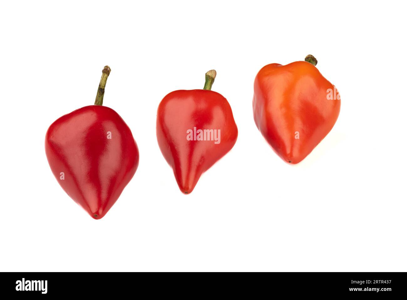Three sweet-spicy red pepper pods on a white background, Strawberry ...