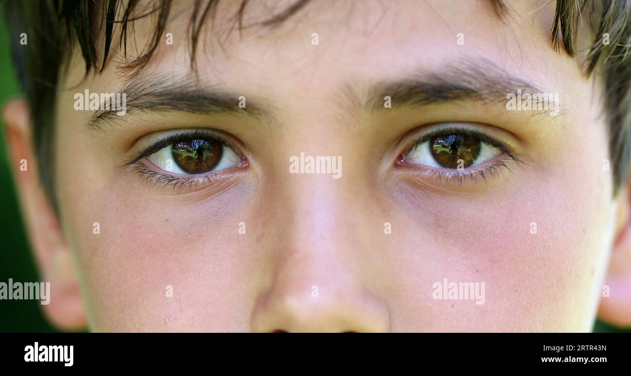 Child eyes looking to camera, macro close-up of young boy eyes staring ...