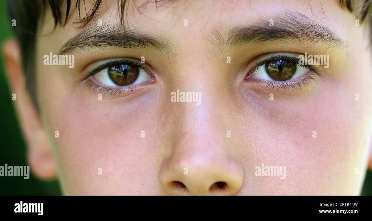Child eyes looking to camera, macro close-up of young boy eyes staring ...