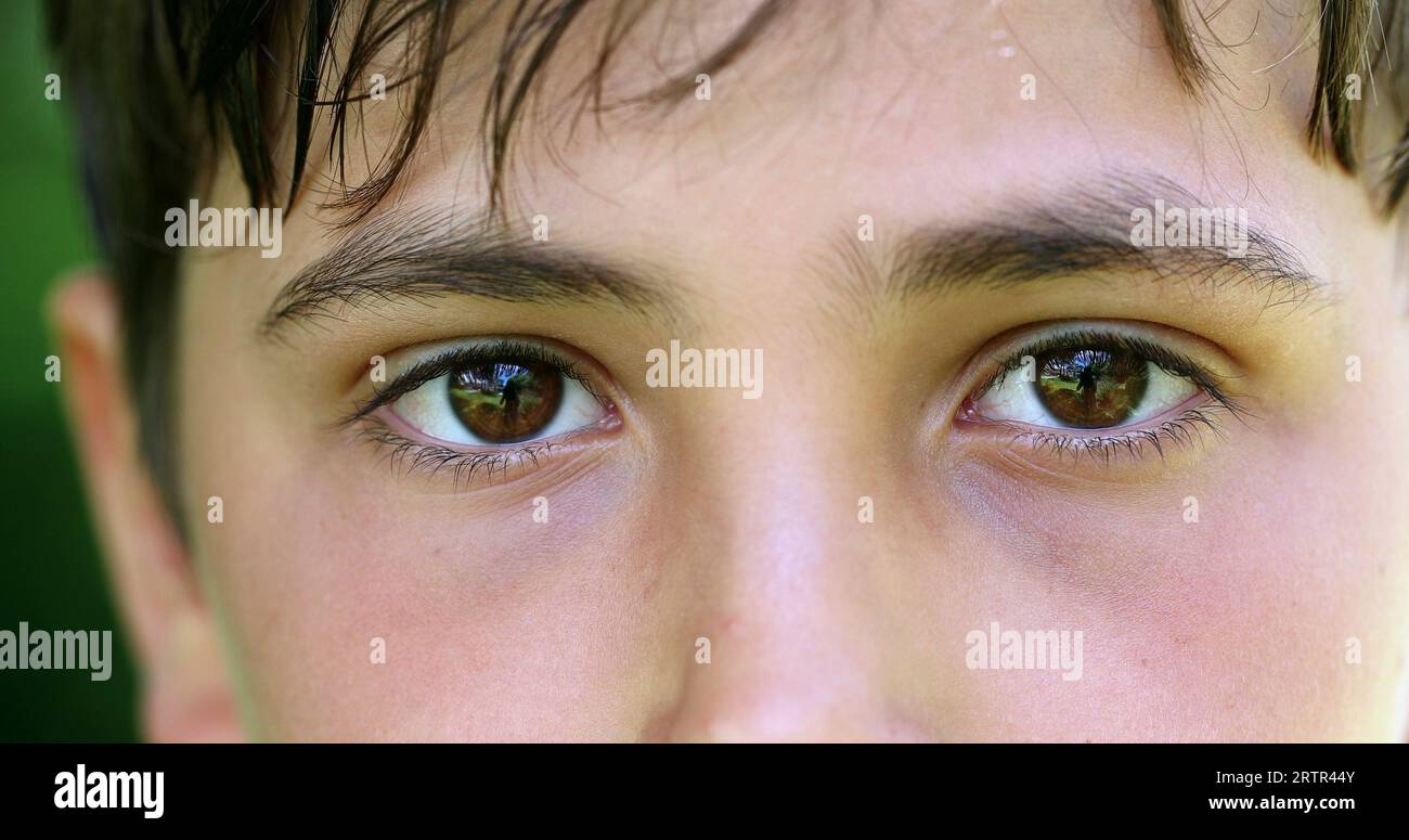 Child eyes looking to camera, macro close-up of young boy eyes staring ...