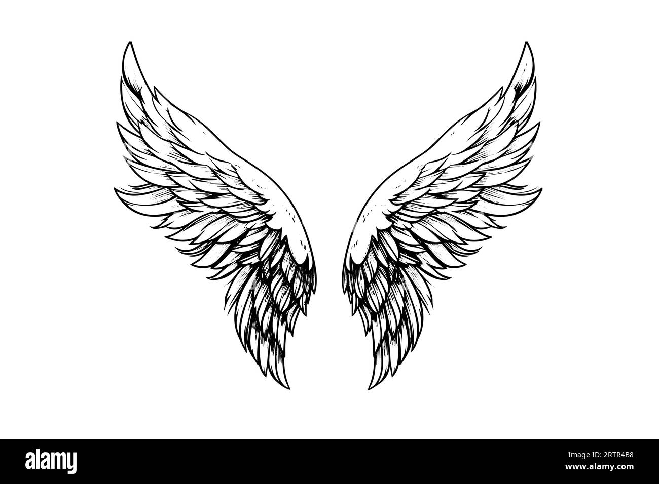Angel wings ink sketch in engraving style. Hand drawn fenders vector ...