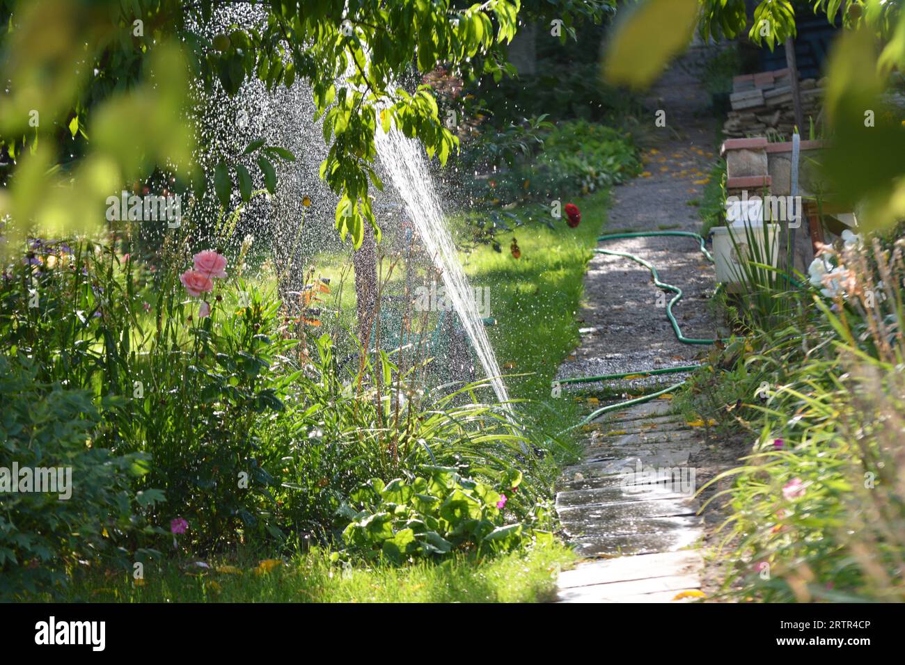 Drip irrigation tree hi-res stock photography and images - Alamy