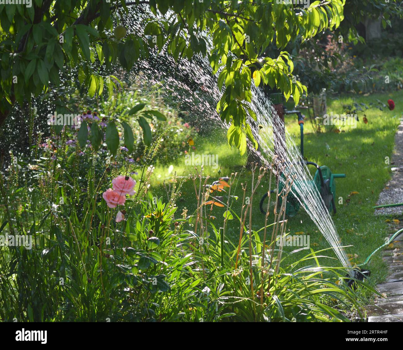 Drip irrigation in park hi-res stock photography and images - Alamy